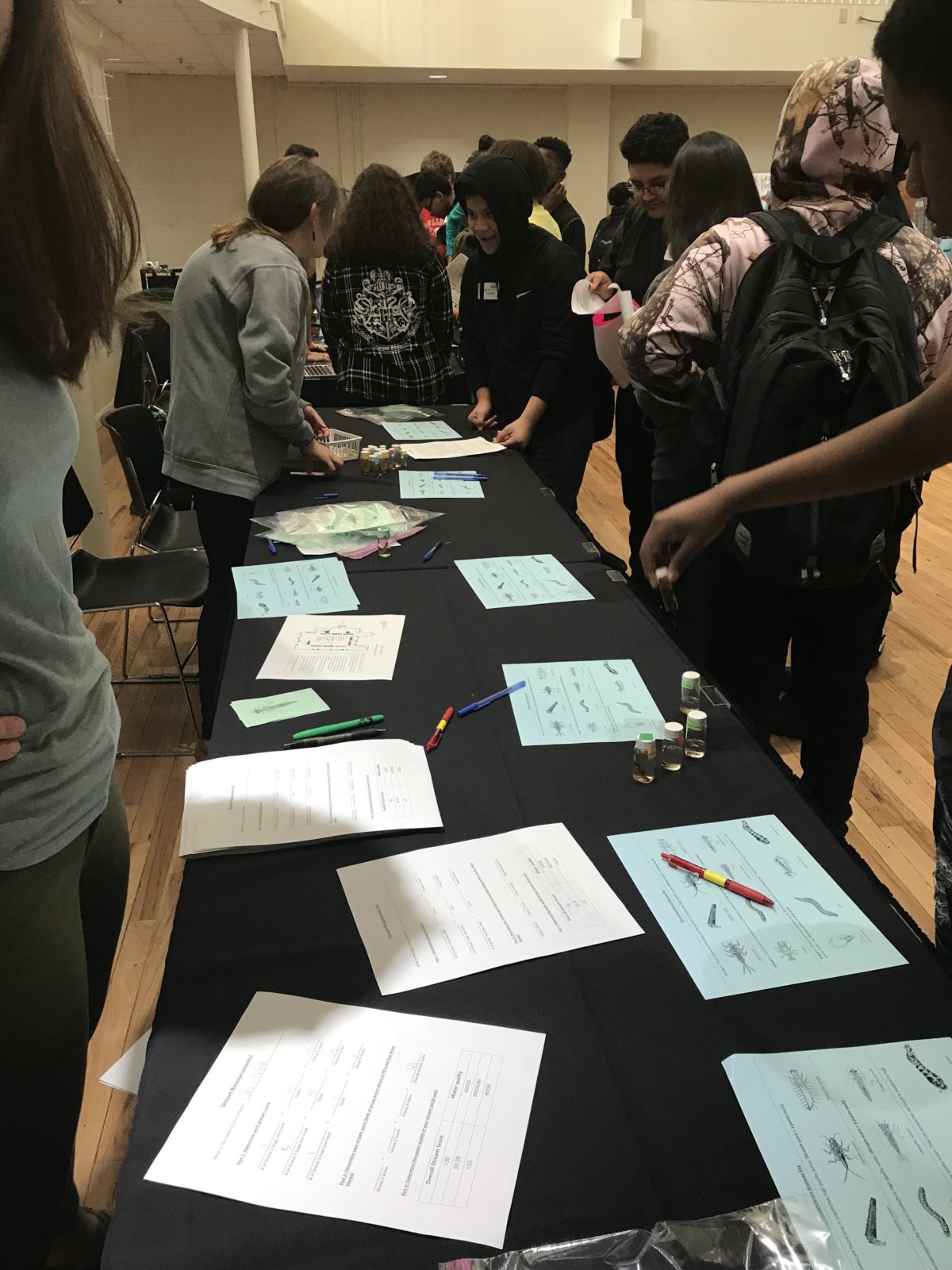 Experience UGA 9th grade Science Fair - EcoReach
