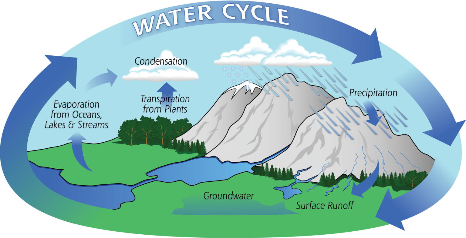 Water Cycle Bracelets - EcoReach - Odum School of Ecology