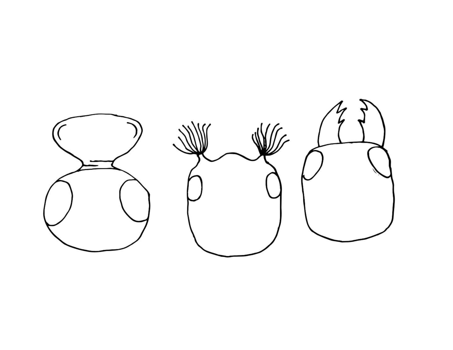 Build-a-Bug Workshop - EcoReach - Odum School of Ecology