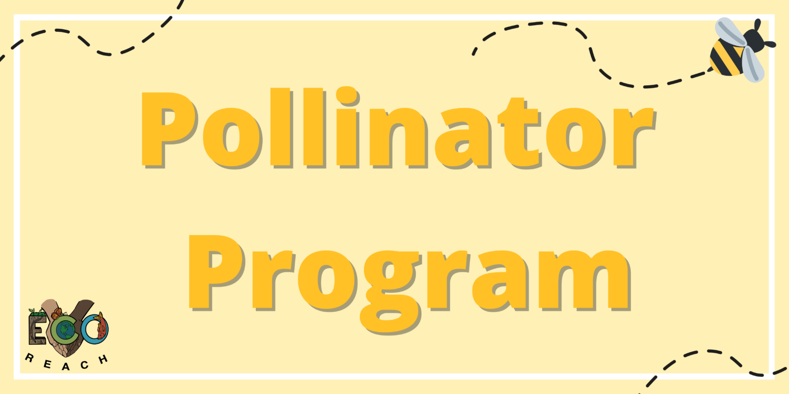 Pollinator Program - EcoReach - Odum School of Ecology
